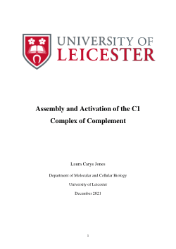 Assembly and Activation of the C1 Complex of Complement