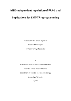 MEK-independent regulation of FRA-1 and implications for EMT-TF ...
