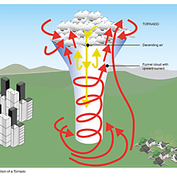 Cross section of a tornado