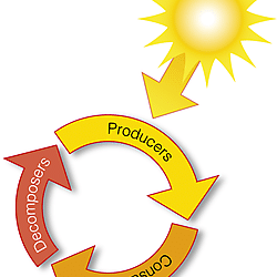 Energy cycle