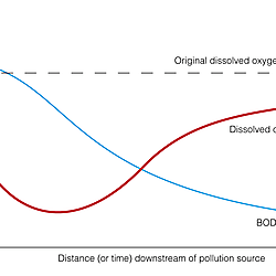 The dissolved oxygen sag curve
