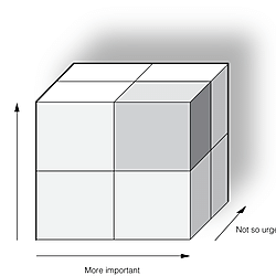 Different dimensions of decision-making