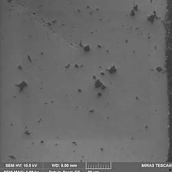 Item - SEM - Tescan Mira3 IV - University of Manchester - Figshare