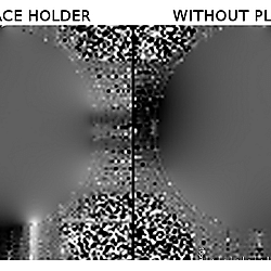 Magnetic Field Inhomogeneity Due to 3D Printed Phantom Placeholder