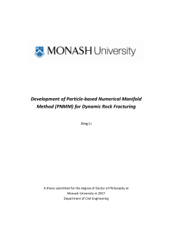 Development of Particle-based Numerical Manifold Method (PNMM) for Dynamic Rock Fracturing