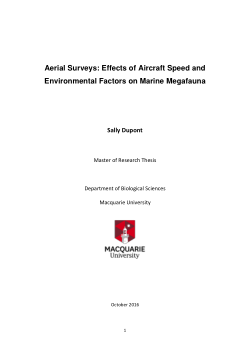 Aerial surveys: effects of aircraft speed and environmental factors on ...