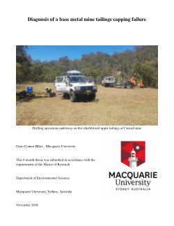 Diagnosis of a base metal mine tailings capping failure
