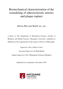 Item - Biomechanical characterization of the remodeling of ...