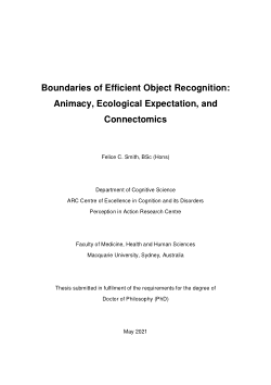 Boundaries of Efficient Object Recognition: Animacy, Ecological Expectation, and Connectomics