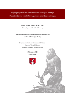 Magnifying the cause of extinction of the largest ever ape ...