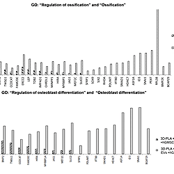 Additional file 3: of Three-dimensional printed PLA scaffold and human gingival stem cell ...