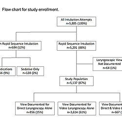 Additional file 1: of The HEAVEN criteria predict laryngoscopic view ...