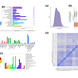 Additional file 3: of Time-series transcriptome provides insights into ...