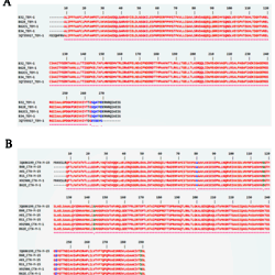 MOESM1 of Investigation of urban birds as source of β-lactamase ...