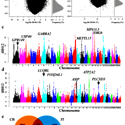 MOESM9 of Comparative genome analyses reveal the unique genetic composition and selection ...