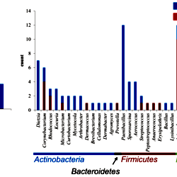 Additional file 2 of Isolation and characterization of diverse ...