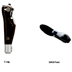 Additional file 2 of Using a microprocessor knee (C-Leg) with ...