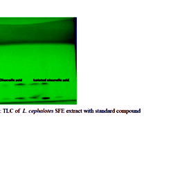Additional file 1 of Anti-dengue activity of super critical extract and ...