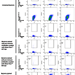 Additional file 2 of Species-targeted sorting and cultivation of ...