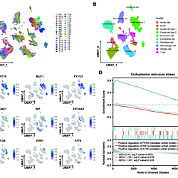 Additional file 4 of Combination of RUNX1 inhibitor and gemcitabine ...