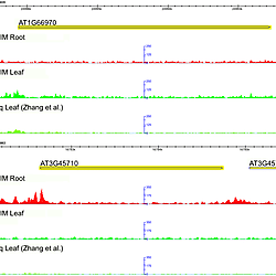 Additional file 5: of Improved DNase-seq protocol facilitates high ...