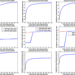 Additional file 2: Figure S2. of System modeling reveals the molecular ...