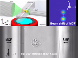 Visualization 4: 3D controlled cell-rotation about the X-and Y-axis ...