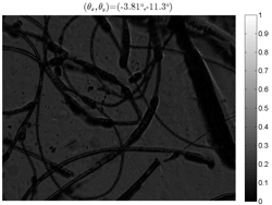 Media 1: 3D differential phase-contrast microscopy with computational illumination using an LED ...