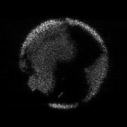 Media 2: Fast calculation of computer-generated holograms based on 3-D ...