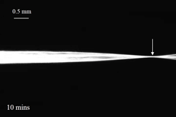 Visualization 1: New method to measure liquid diffusivity by analyzing an instantaneous ...