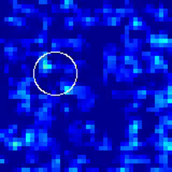 Visualization 5: Robust real-time 3D single-particle tracking using a dynamically moving laser spot
