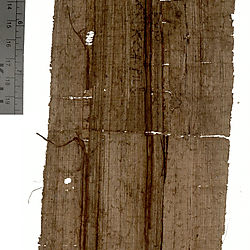 P.Oxy. XVI 2000. Receipt for Embole