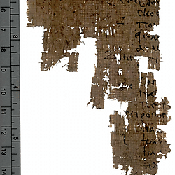 P.Oxy. XXXVI 2752. Shorthand Commentary