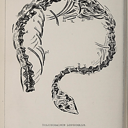 The Geologist, v.6 (1863), ASC0003iez