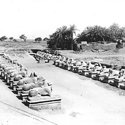 Somers Clarke MSS. 11.81