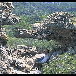 Sea-notch, raised by the late Roman uplift. The conglomerate rock ...