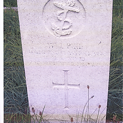 Item - 5168: The Story of William Pike - a Life Cut Short by Influenza ...