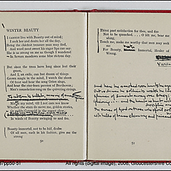 87979: Winter Beauty