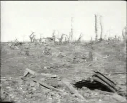 51266: Devastated landscape