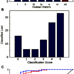 Comparison of human rating to machine learning.
