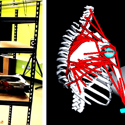 Picture of the lifting task performed by a representative participant ...