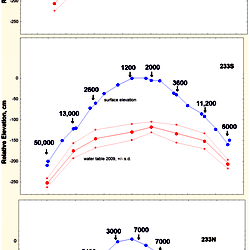 Soil carbon dioxide gradients in the flatwoods: the soil CO2 gradient ...