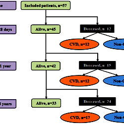Flow chart of enrolled patients.