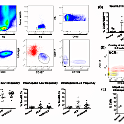 All three ILC subsets are present in inflamed human livers.