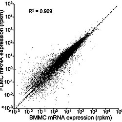 Comparison of genes expressed by FLMC and BMMC.