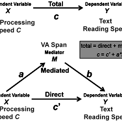 Schematic descriptions of total and mediated effects of visual ...