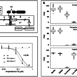 Assay Workflow chart and outputs.