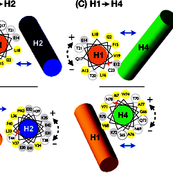 Schematics of Im9 simulation systems.