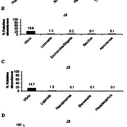 Top five most abundant bacterial genera in shrimp intestines of four ...