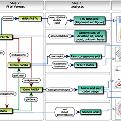 Analysis workflow.